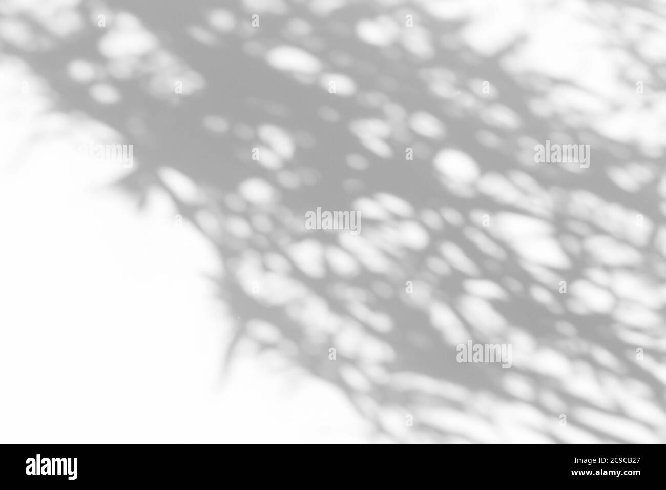 Tree overlay Black and White Stock Photos & Images - Alamy