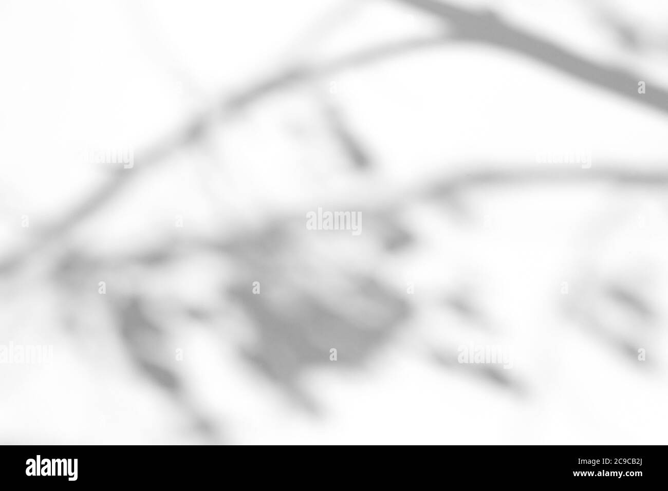 Shadow overlay effect for photo. Shadows from tree leaves and tropical ...