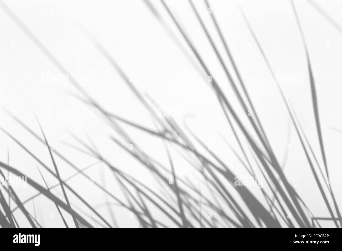 Grass texture overlay hi-res stock photography and images - Alamy