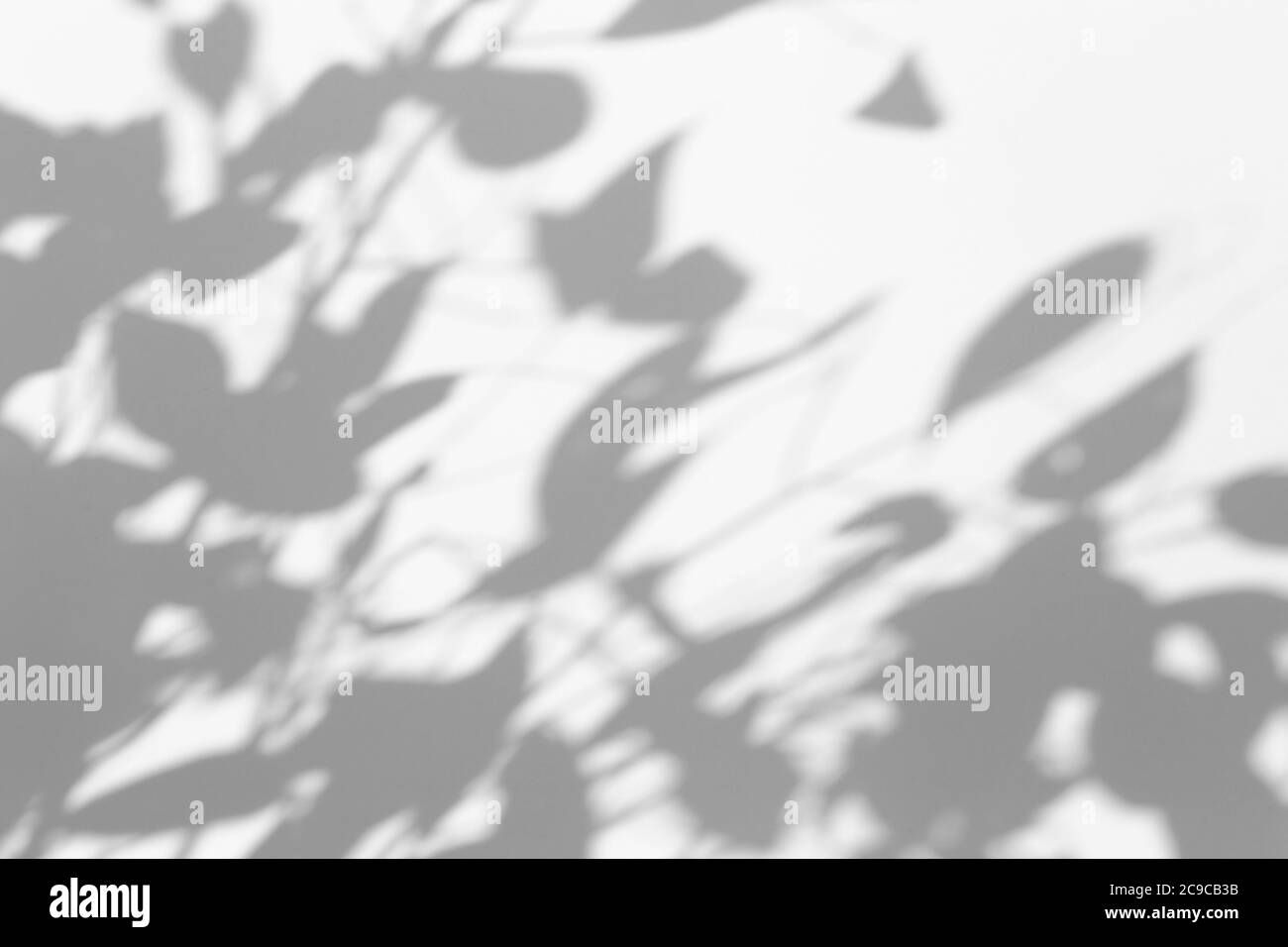 Shadow overlay effect for photo. Shadows from tree leaves and tropical ...