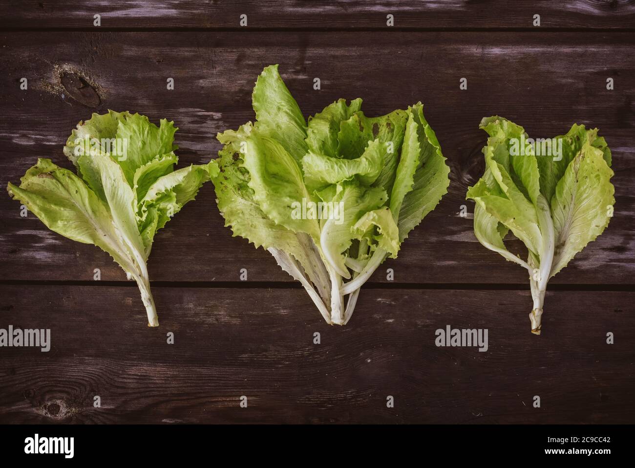 Pattern from fresh Lettuce leaveson a wooden dark table. Batavia salad ...