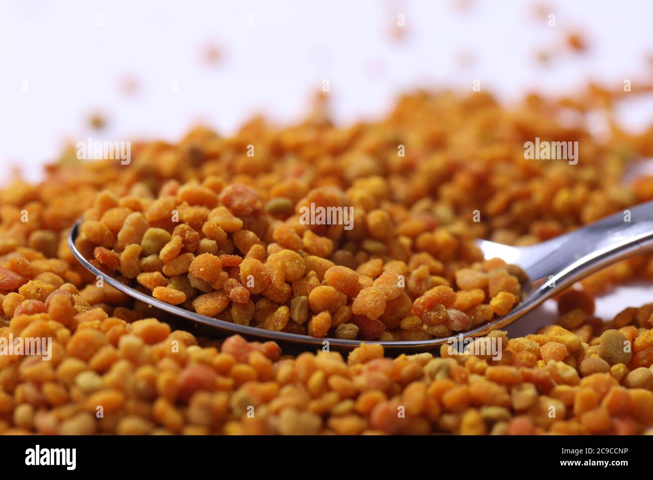 Propolis bees bee pollen on white background Stock Photo - Alamy