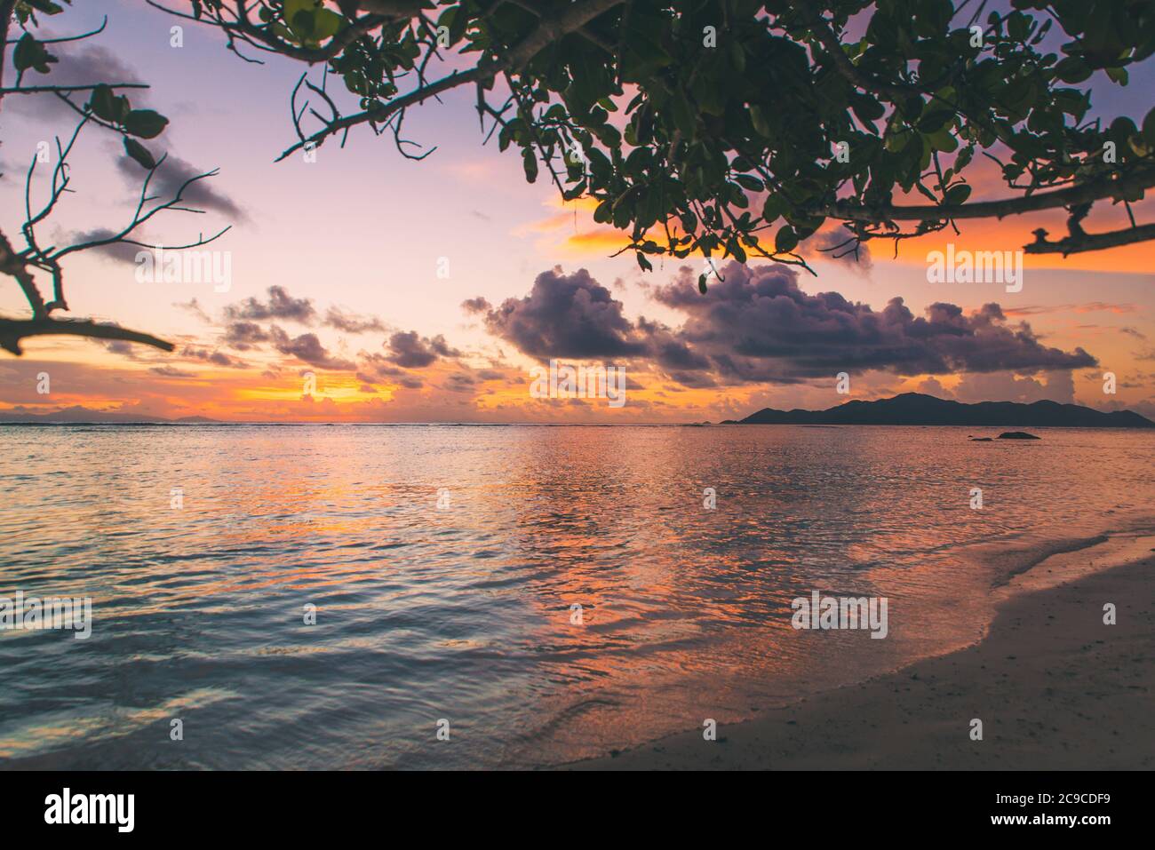 Tropical sunset in philippines coconut hi-res stock photography and ...