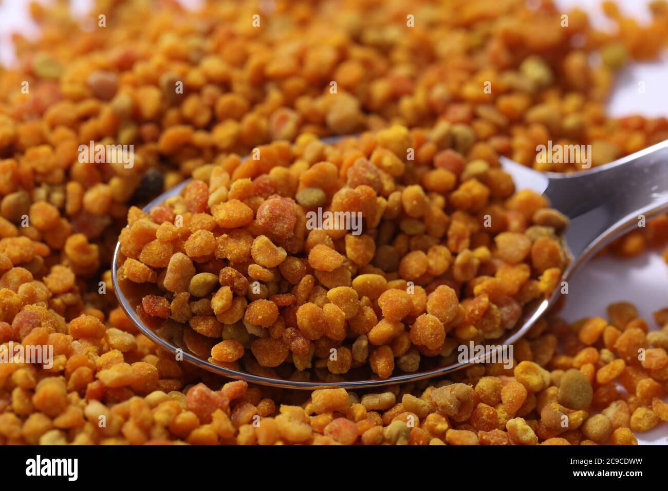 Propolis bees bee pollen on white background Stock Photo - Alamy