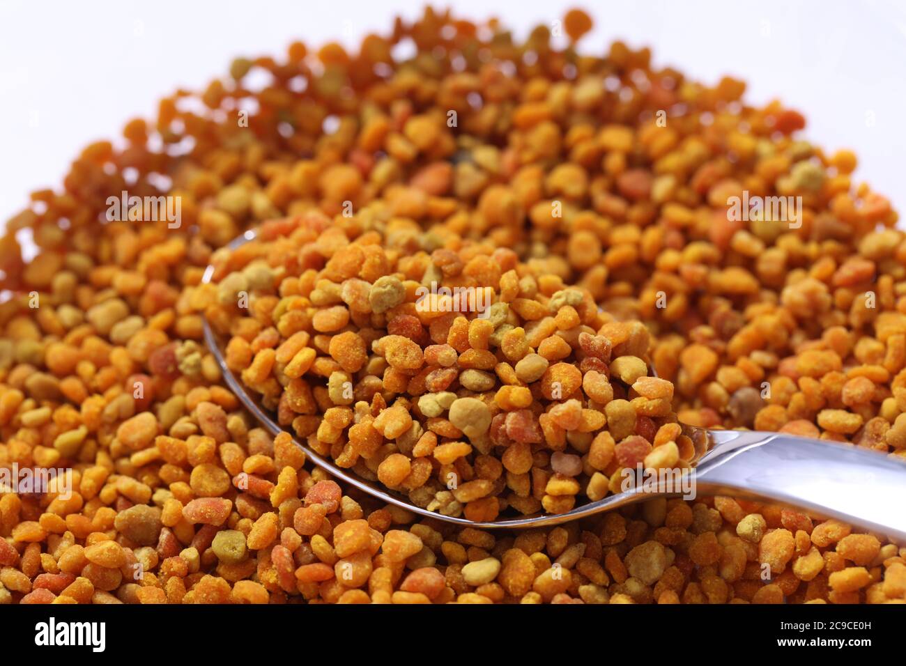 Propolis bees bee pollen on white background Stock Photo - Alamy