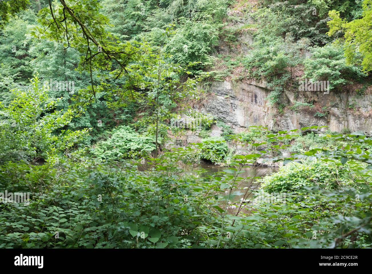 Wild river Wupper in Wuppertal Sonnborn Stock Photo - Alamy