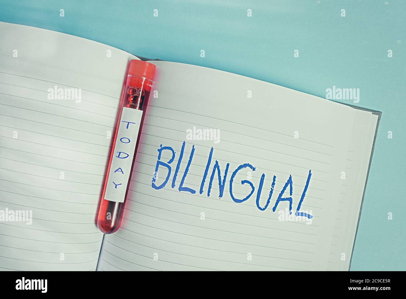 Writing note showing Bilingual. Business concept for using or able to ...