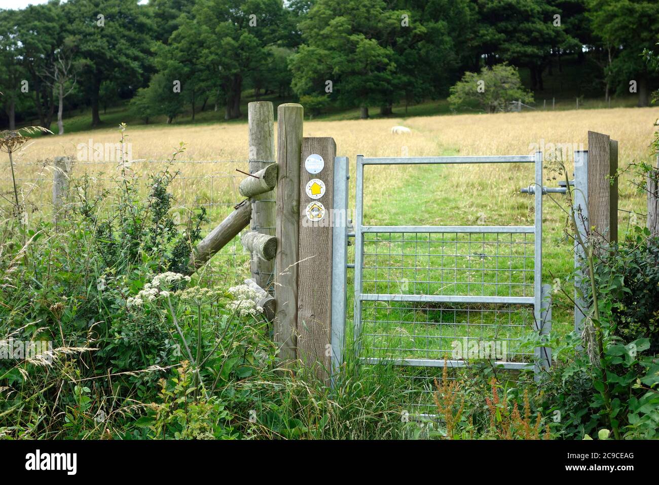 Galvanized metal gates hi-res stock photography and images - Alamy