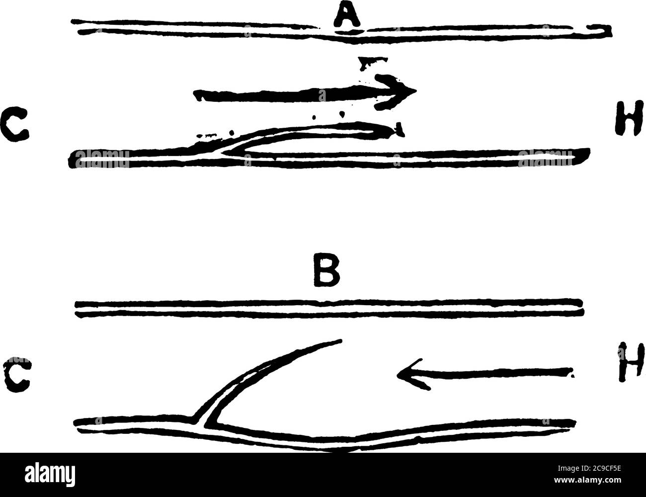 Capillary action hi-res stock photography and images - Alamy