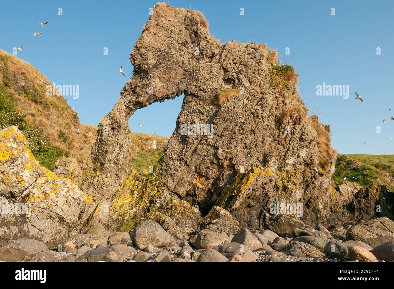 Elephant rock hi-res stock photography and images - Alamy