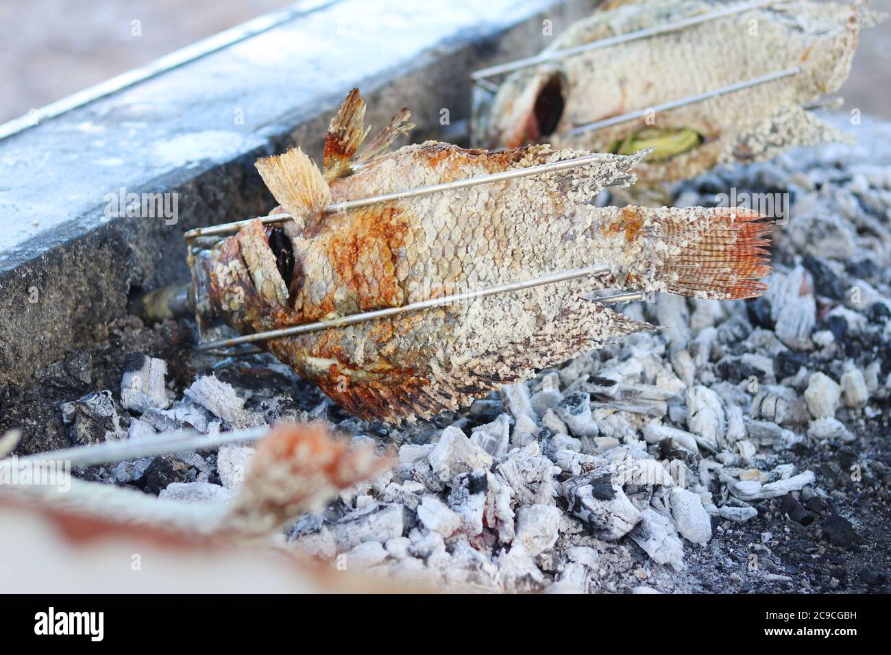 Fish coated with salt grill on the fire. Grilled fish on the fireplace ...