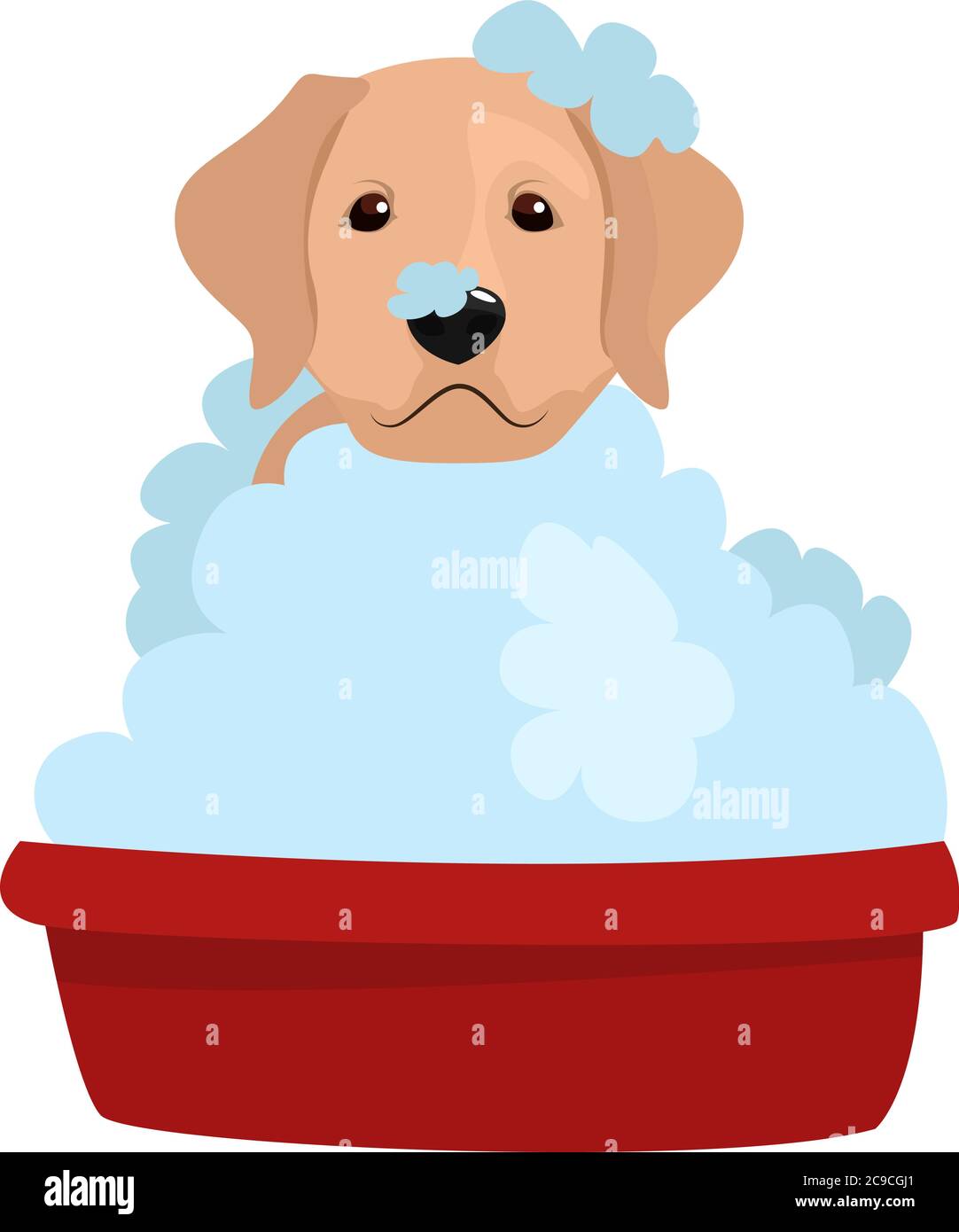Dog bathing, illustration, vector on white background Stock Vector ...