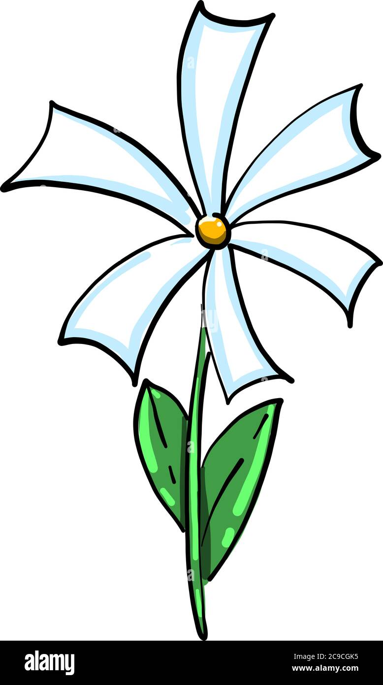 White flower, illustration, vector on white background Stock Vector ...