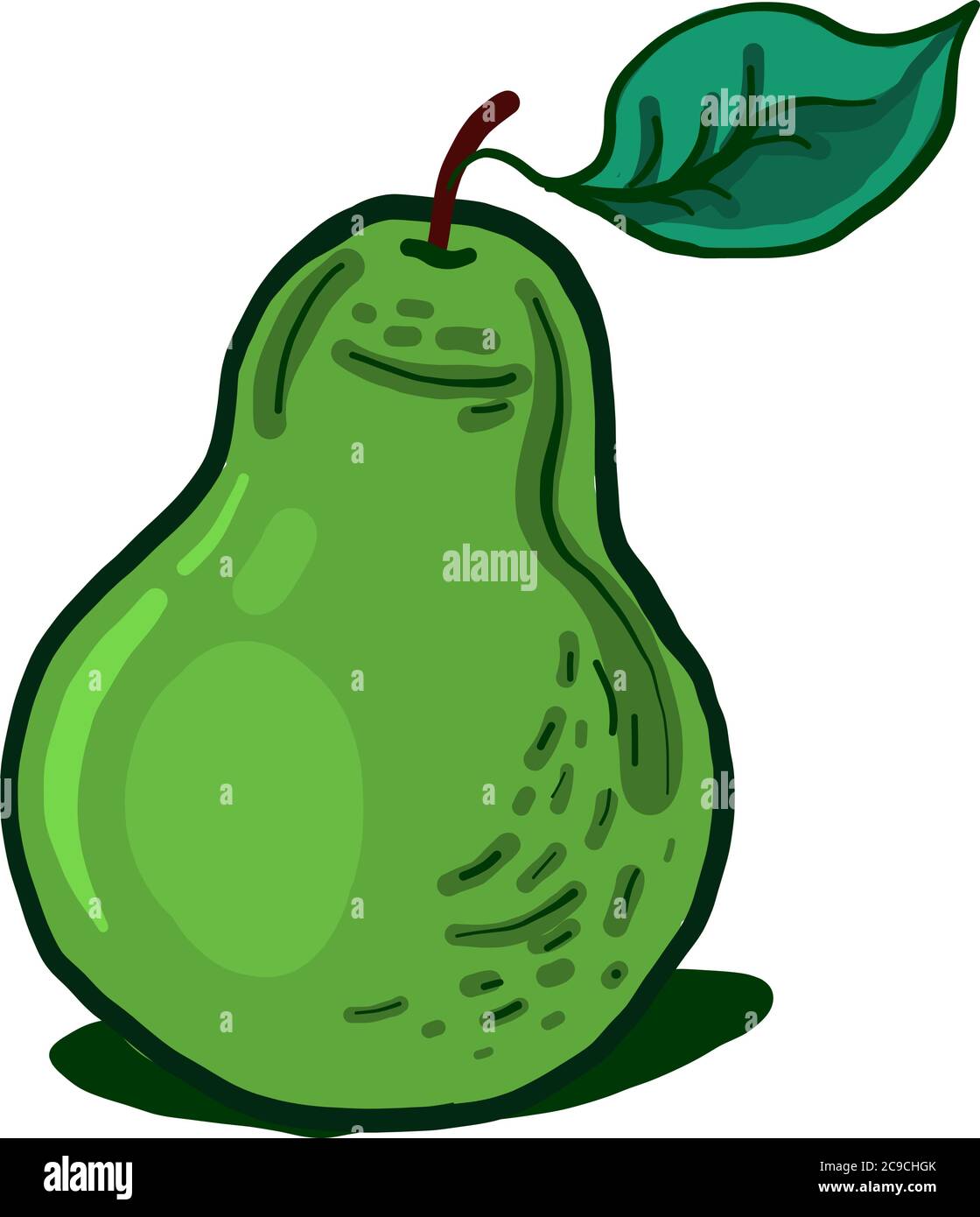 Green pear fruit and half cut pear vector illustration isolated hi-res ...