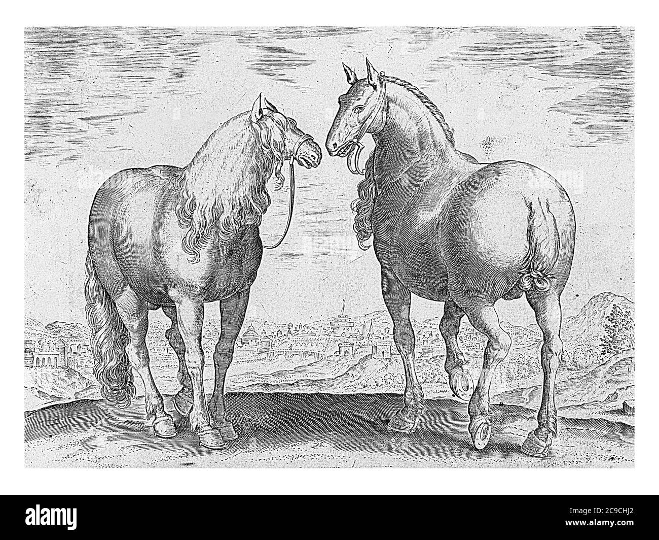 Roman mare Cut Out Stock Images & Pictures - Alamy
