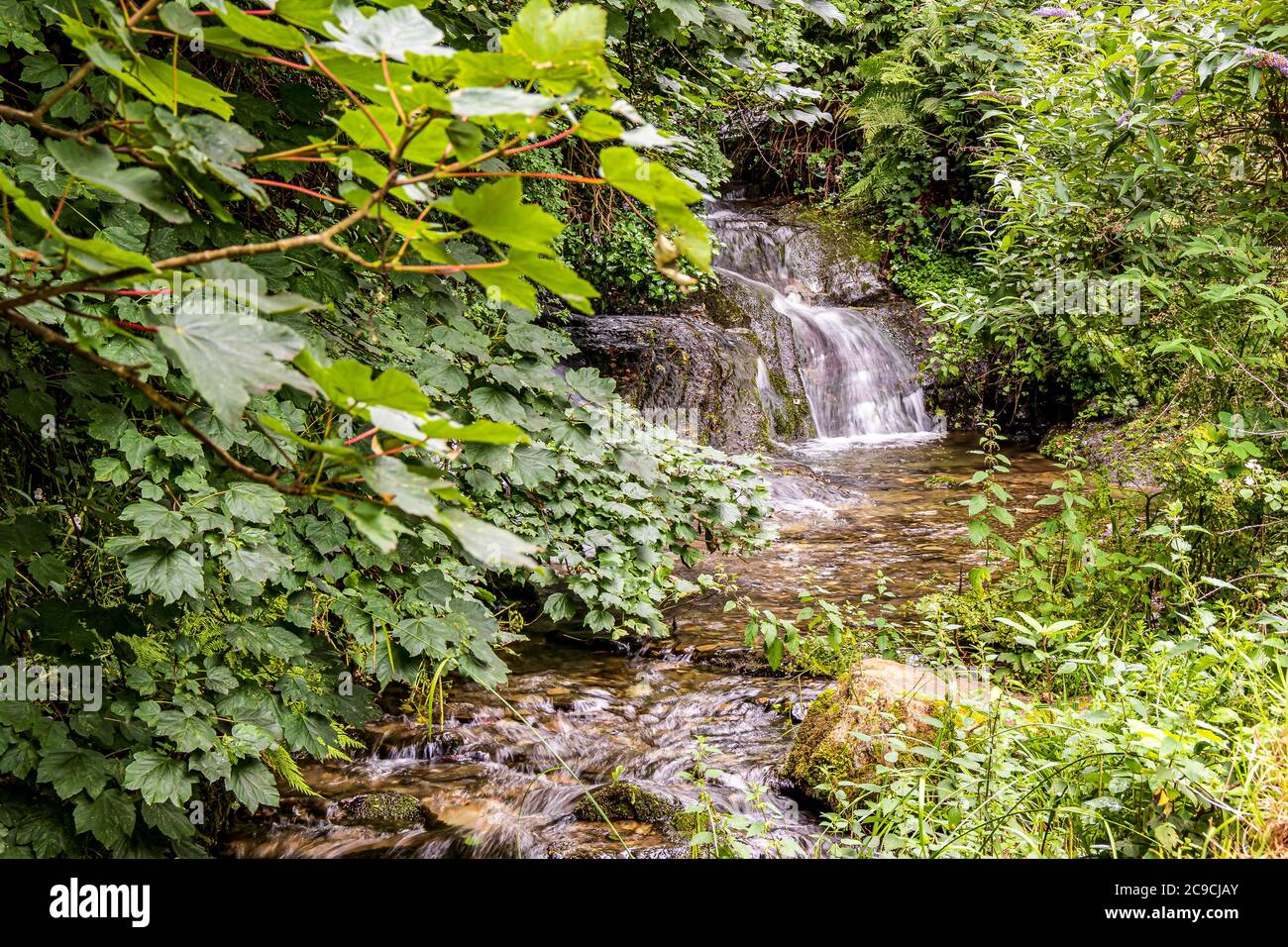 Water over stones hi-res stock photography and images - Alamy