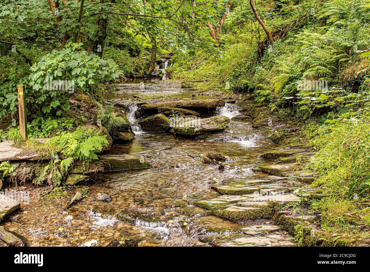 Water over stones hi-res stock photography and images - Alamy