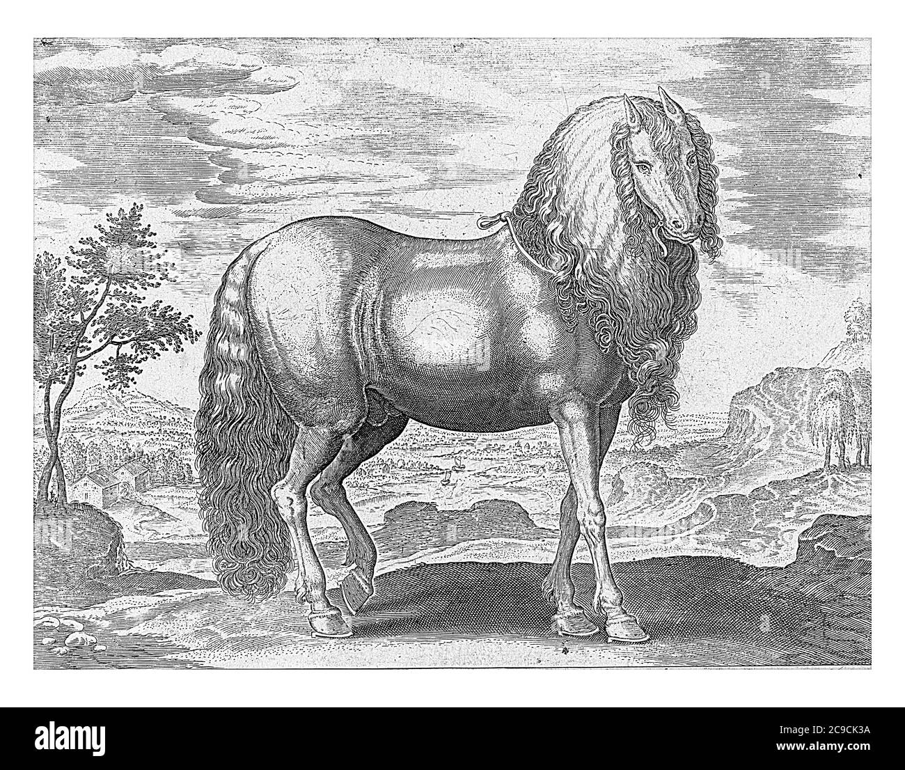 Horse from Romania (Dacus), anonymous, after Hans Collaert (I), after ...