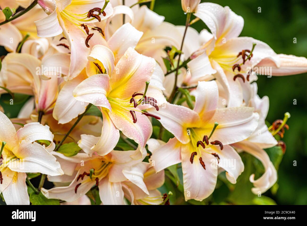 Upper wield hi-res stock photography and images - Alamy