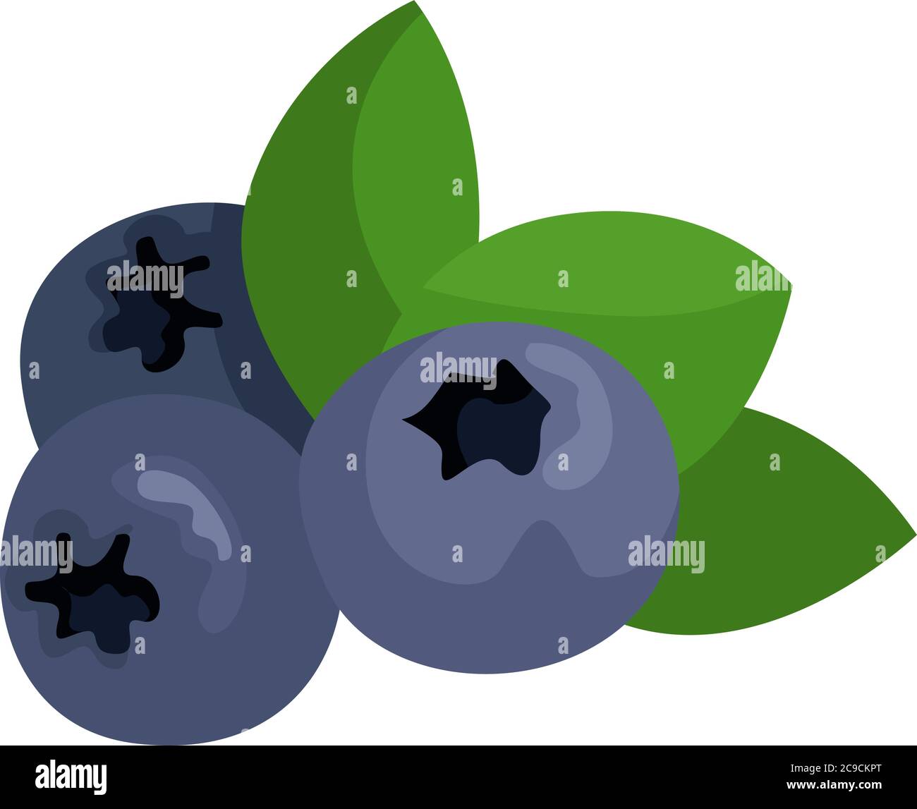 Vector blueberry green blue Cut Out Stock Images & Pictures - Alamy