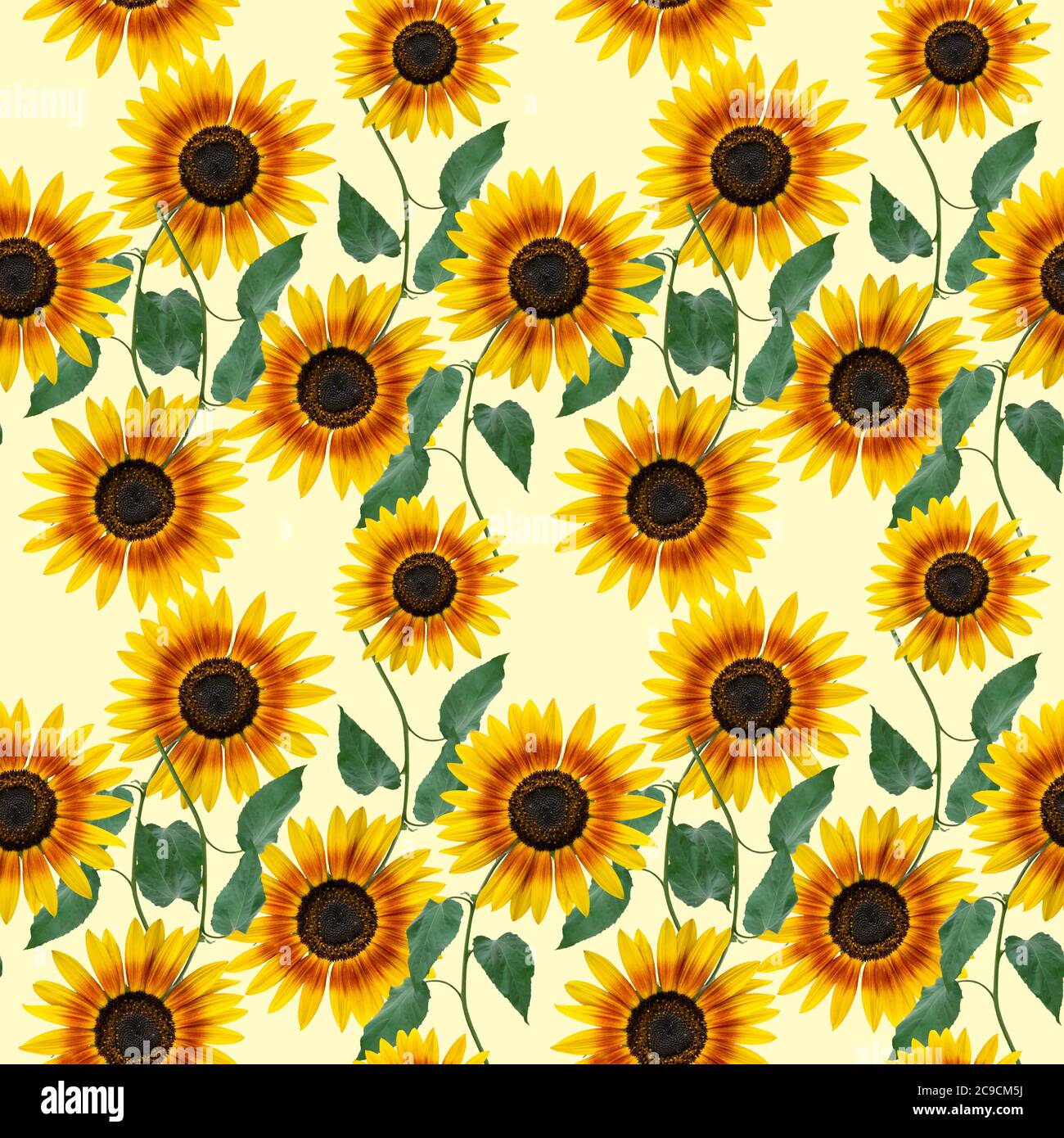 Seamless floral design with sunflowers for background, Endless pattern ...