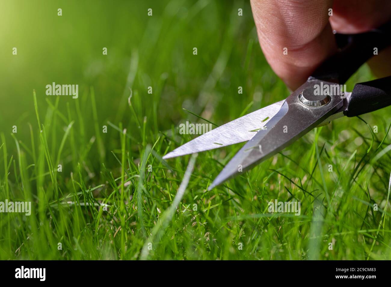 Funny mowing the lawn hi-res stock photography and images - Alamy