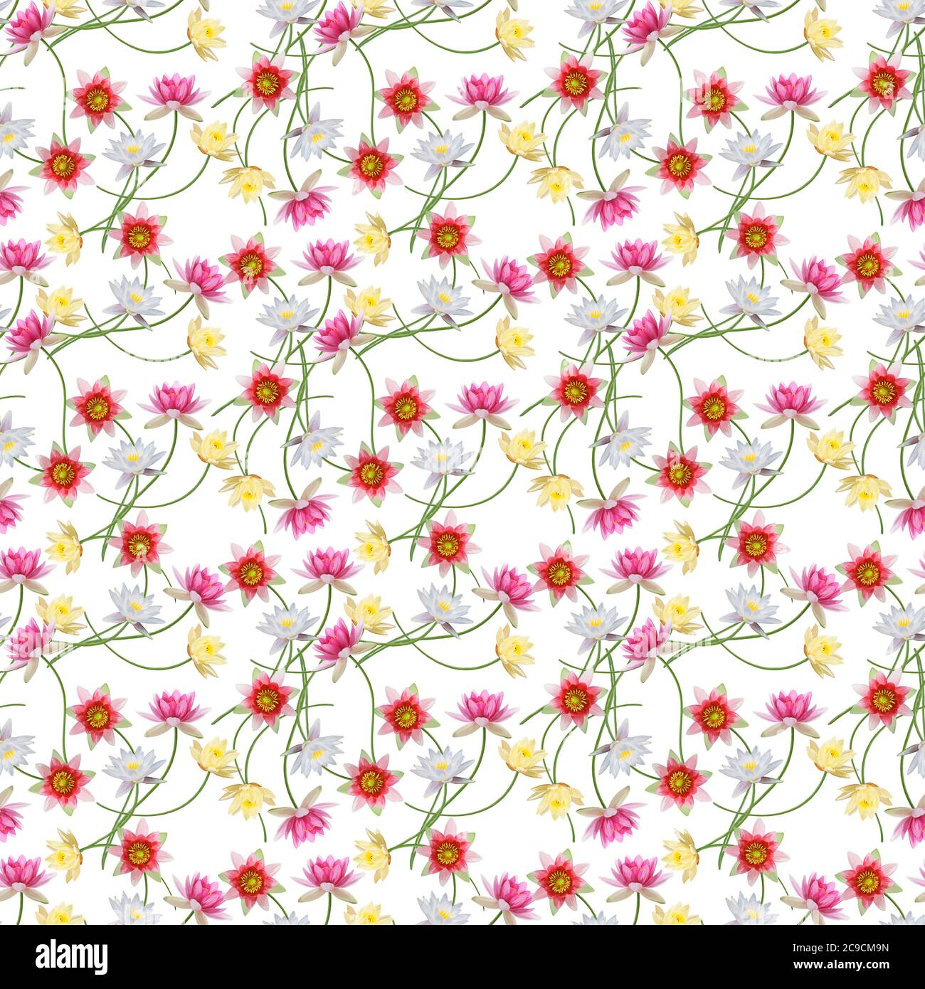 Seamless floral design with waterlily flowers for background, Endless ...