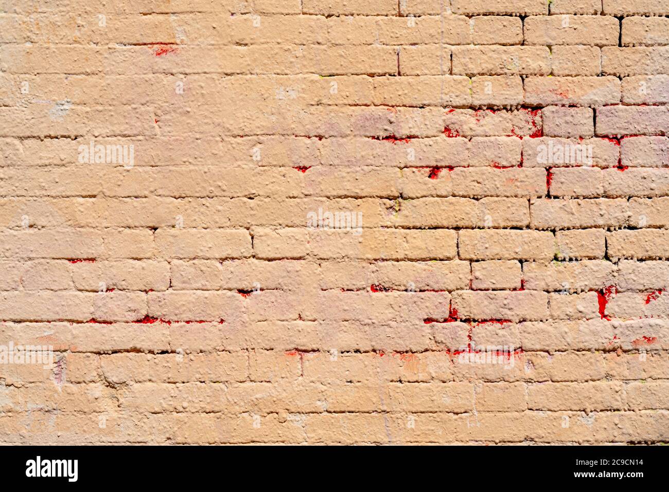 The background of the old beige brick wall for design interior and ...