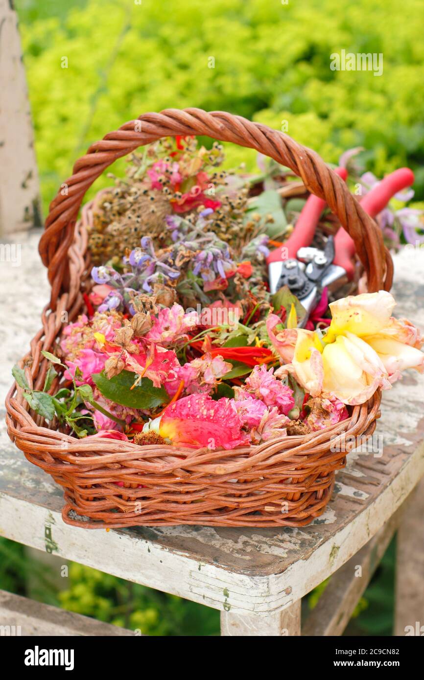 Mixed flower border hi-res stock photography and images - Alamy