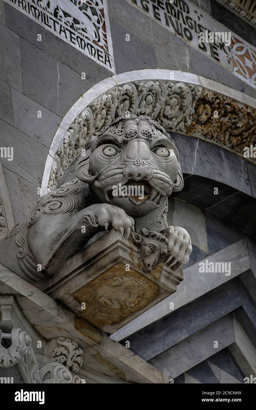 Lion with unsheathed claws hi-res stock photography and images - Alamy