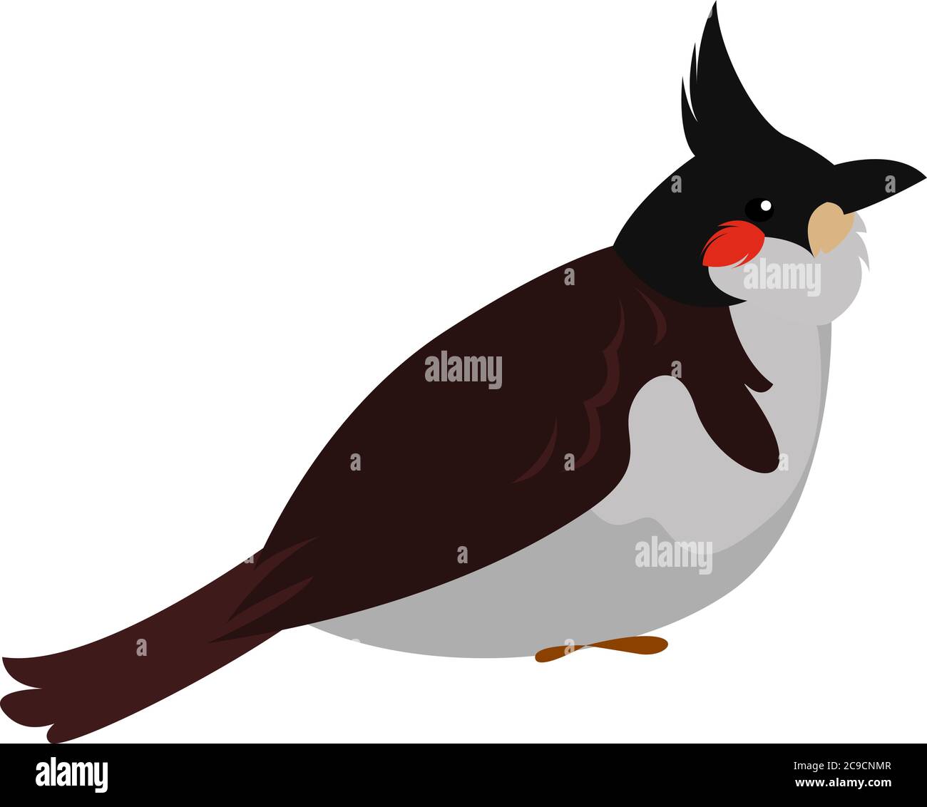 Cute bulbul bird, illustration, vector on white background Stock Vector ...