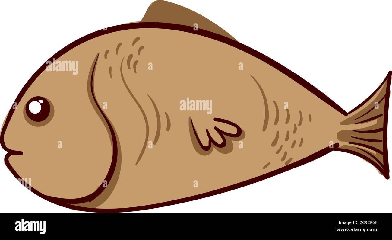 Brown fish, illustration, vector on white background Stock Vector Image ...