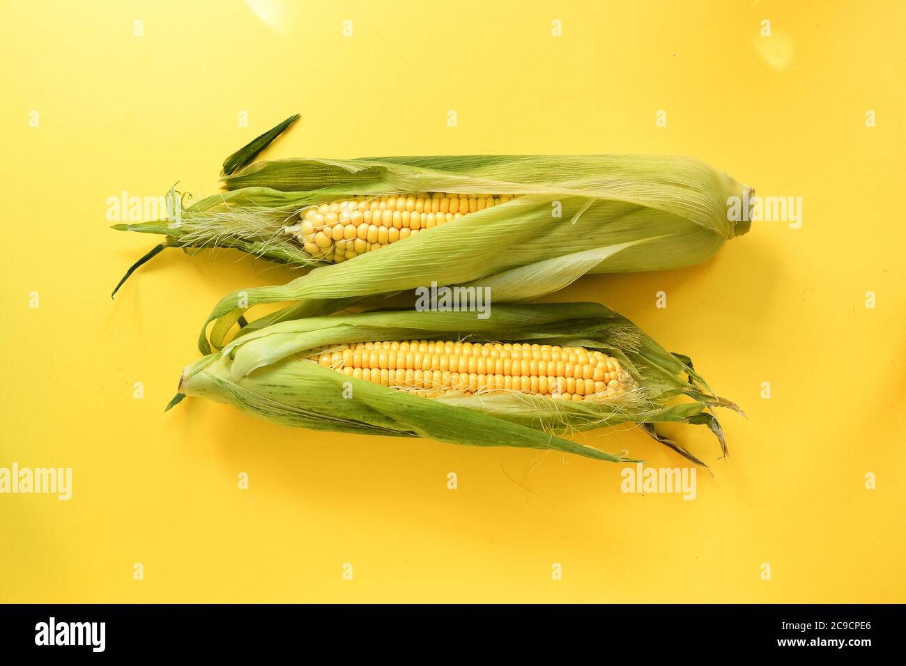 Two corn on a yellow background. Minimal food concept. Top view Stock ...
