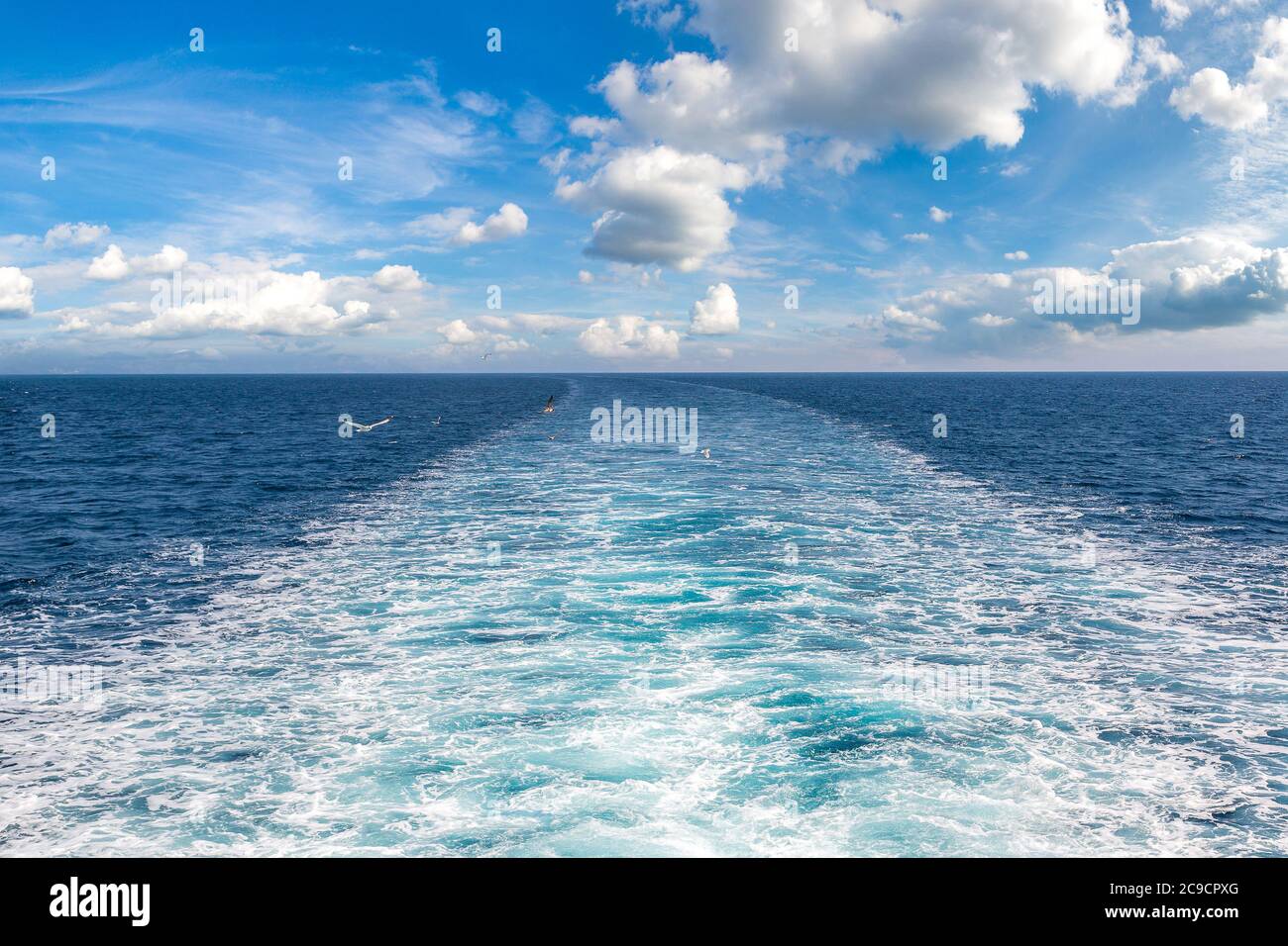 Boat trace in the sea in a summer day Stock Photo - Alamy