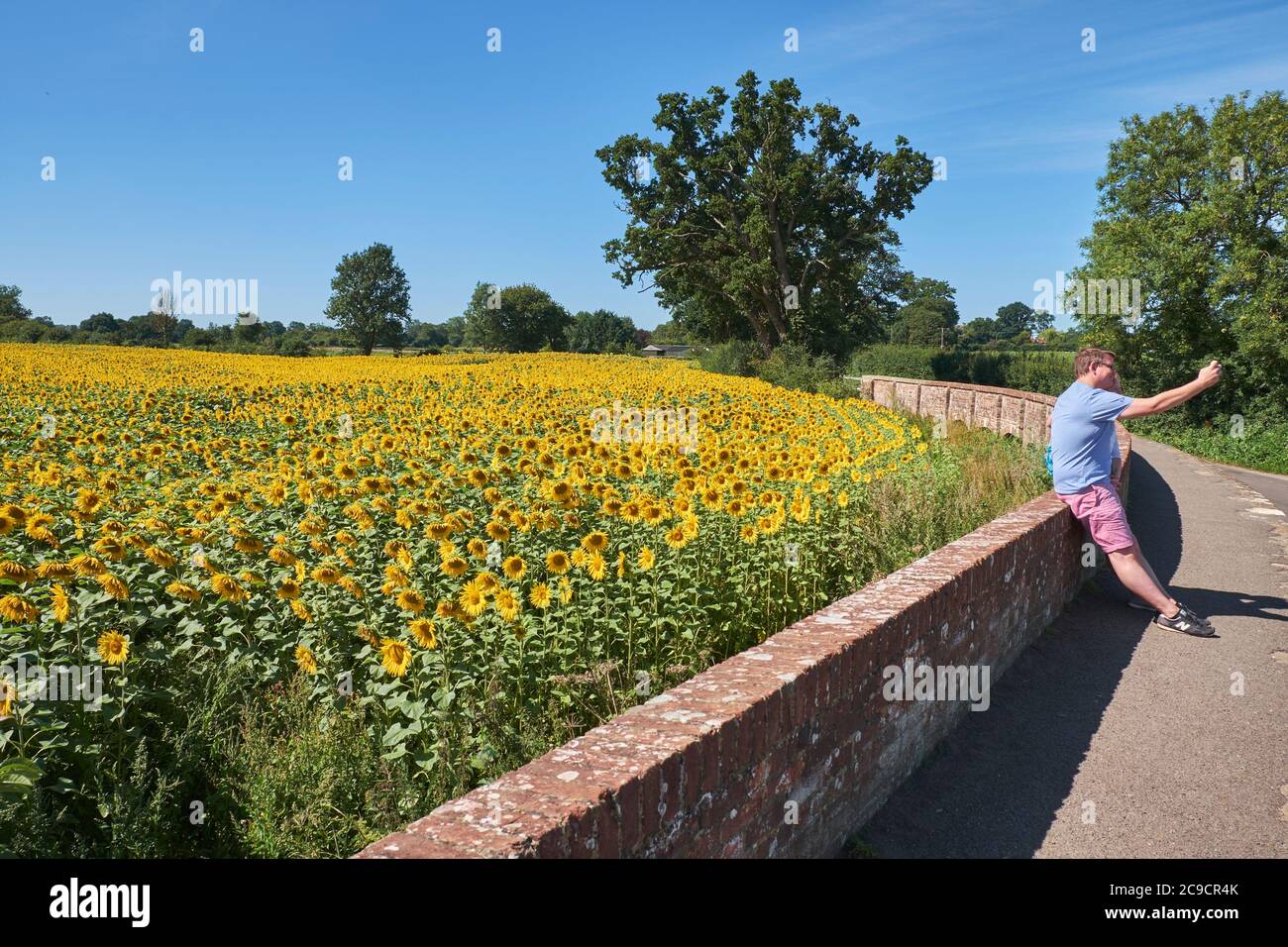 Kellaways hi-res stock photography and images - Alamy