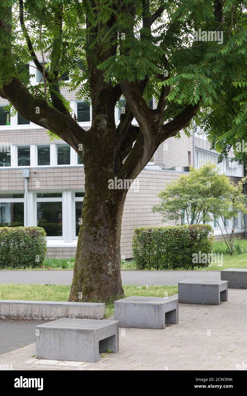 Seating under a tree hi-res stock photography and images - Alamy