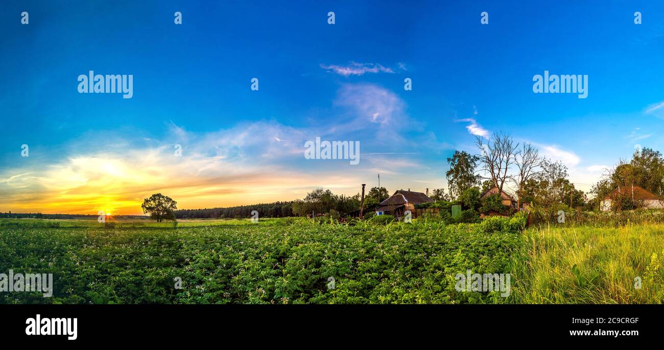 Morning countryside landscape. Beautiful sunrise over garden in a ...