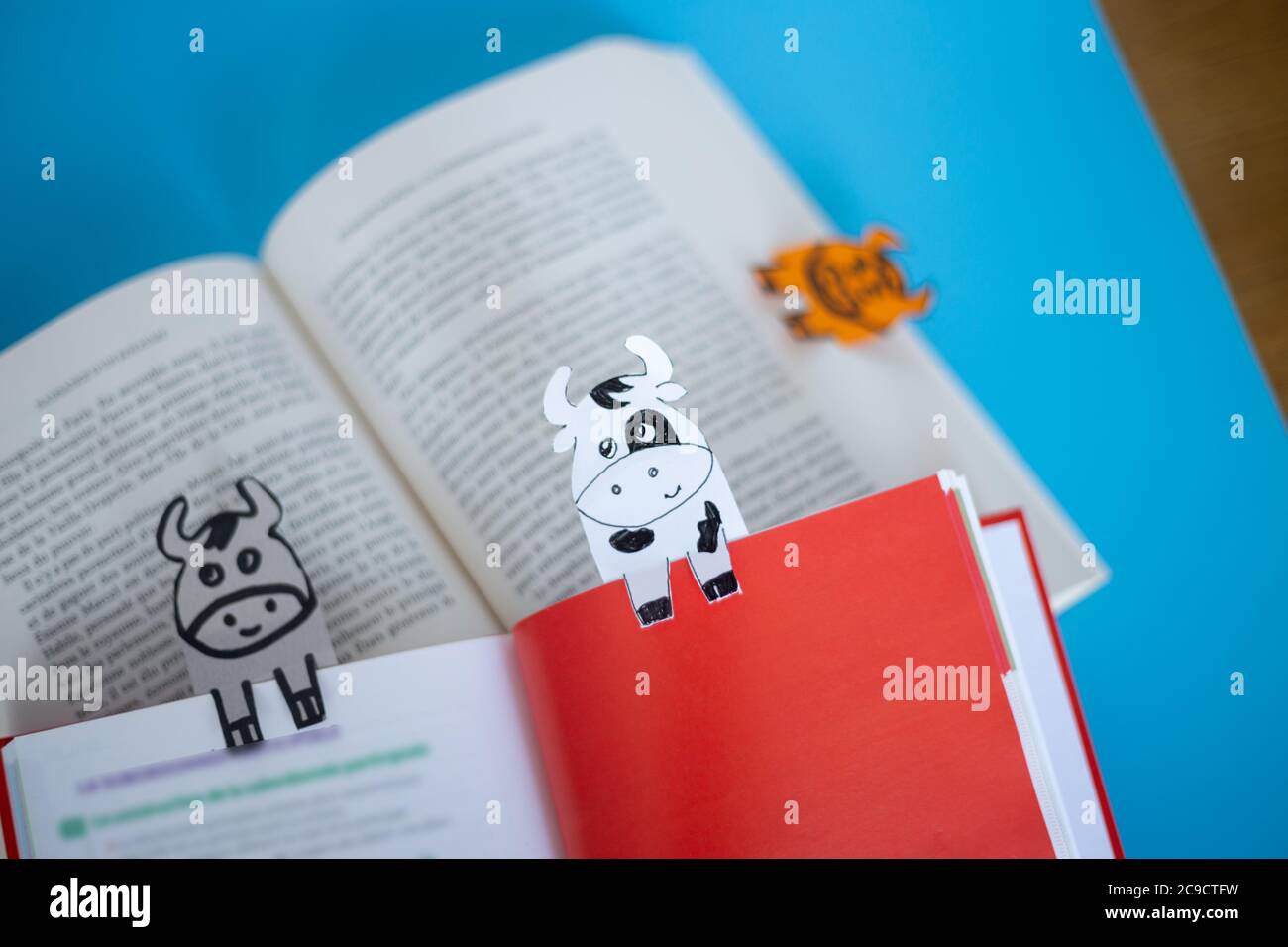book with paper cow and bull bookmarks , soft focus, creative ideas for ...