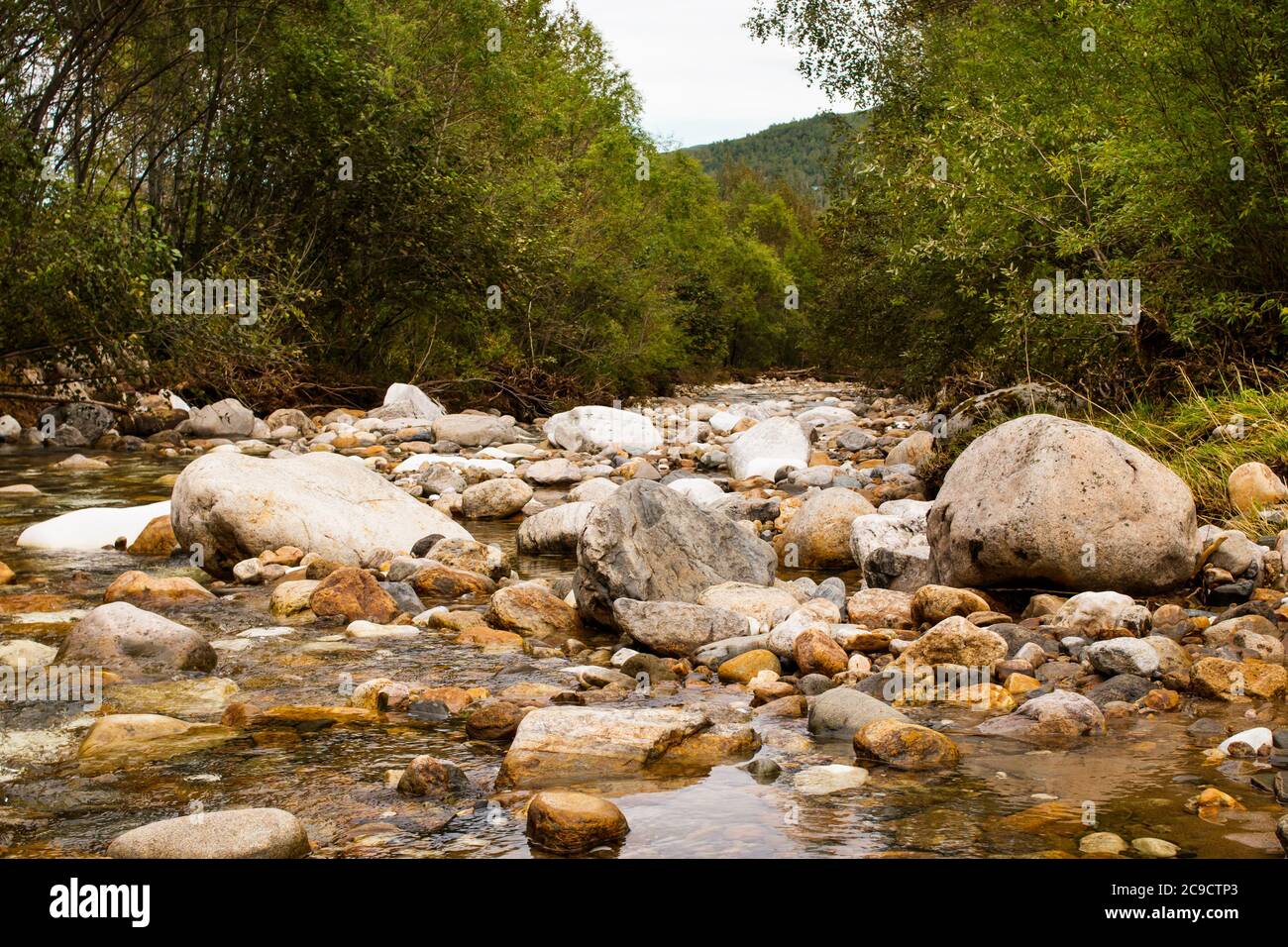 Stream flows quickly through hi-res stock photography and images - Alamy