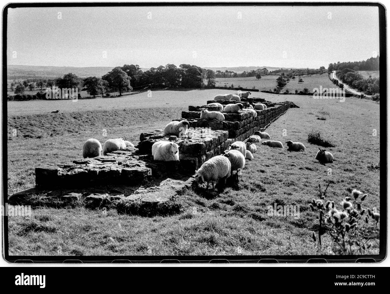 Picts wall hi-res stock photography and images - Alamy