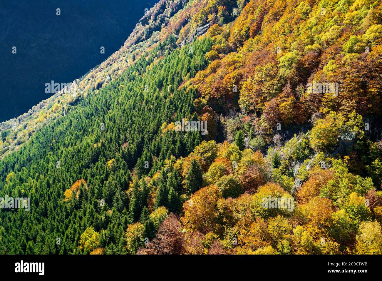 Aerial view beautiful trees mountain hi-res stock photography and ...