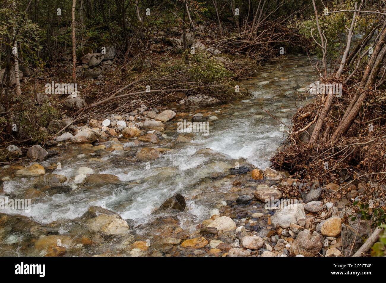 Small stream flows over stones hi-res stock photography and images - Alamy