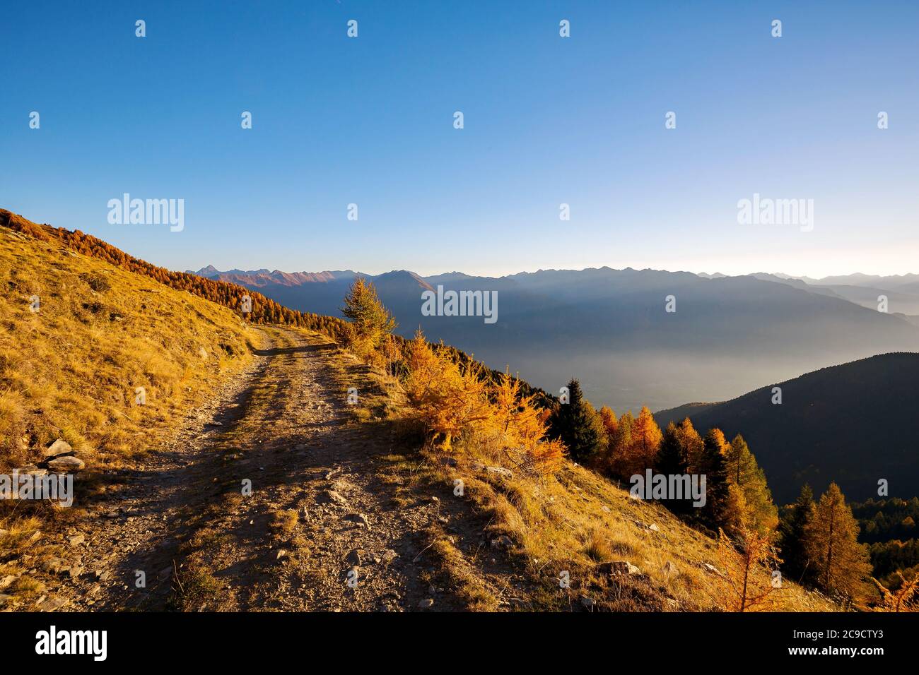 Mule track hi-res stock photography and images - Alamy