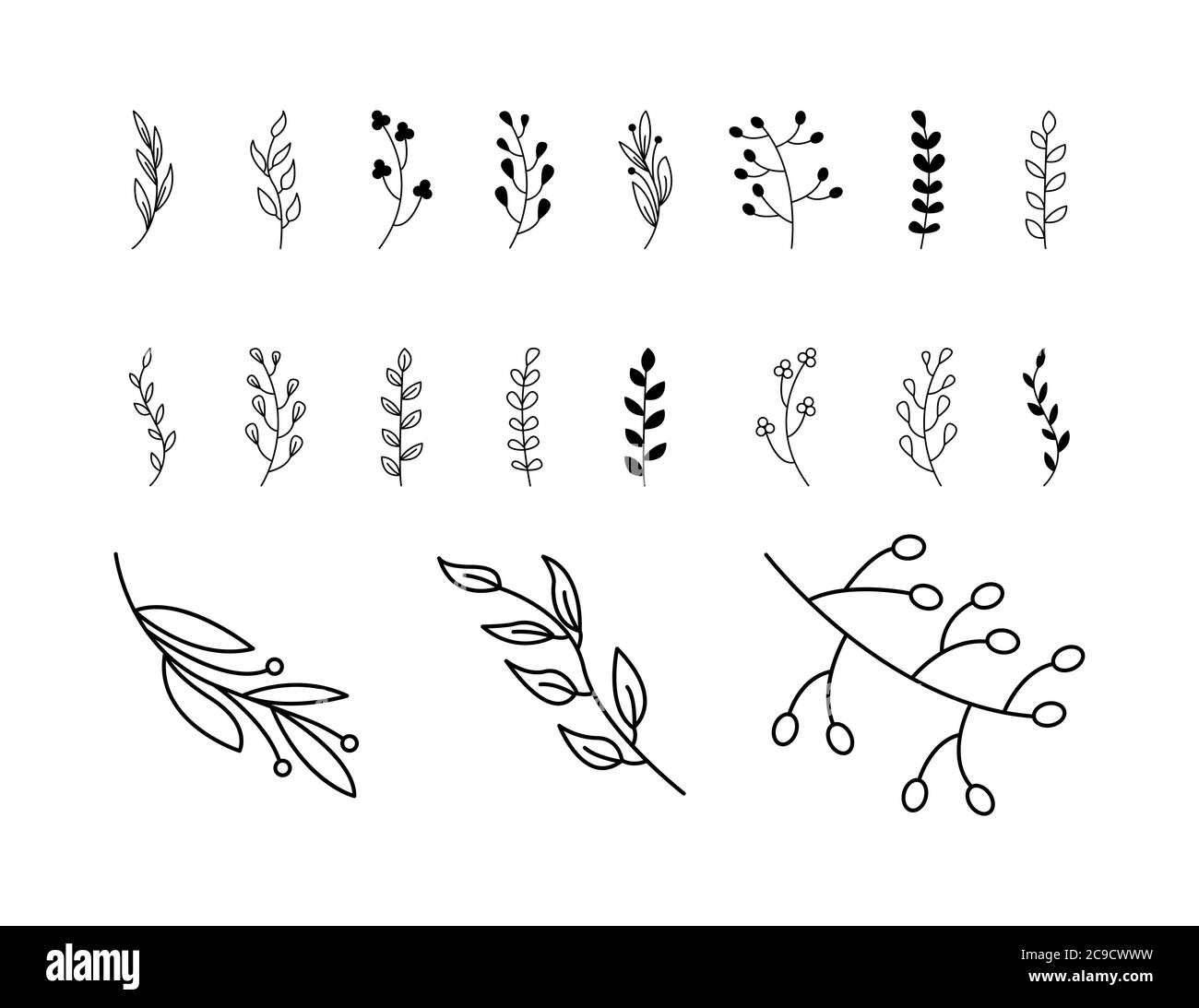 Hand draw branches Stock Vector Images - Alamy