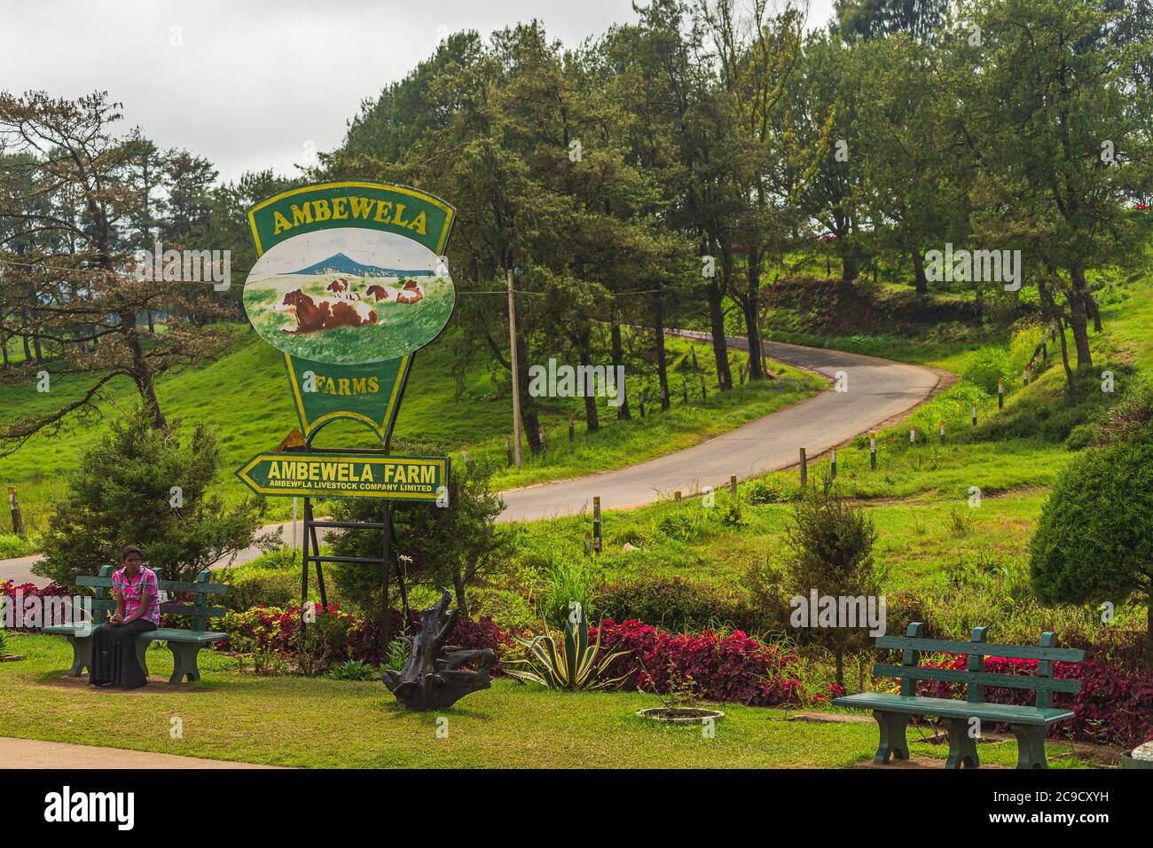 Ambewela farms hi-res stock photography and images - Alamy