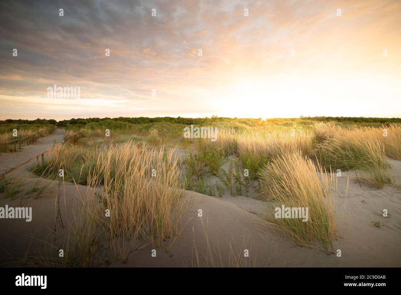 Porto Caleri coastal botanical garden and wild beach, Veneto, Italy ...