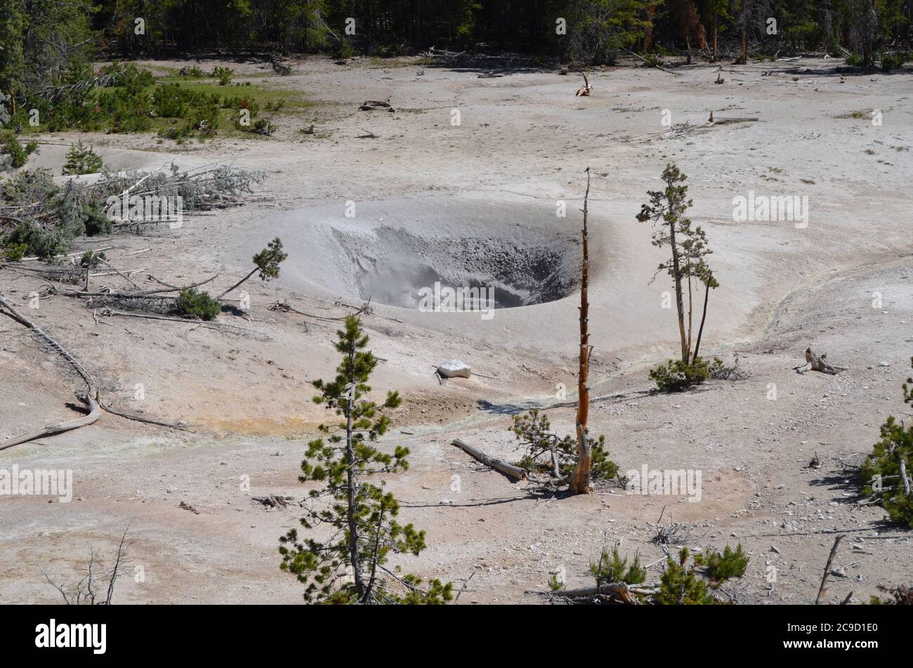 Late Spring in Yellowstone National Park: Mud Crater MVNN008 Just ...