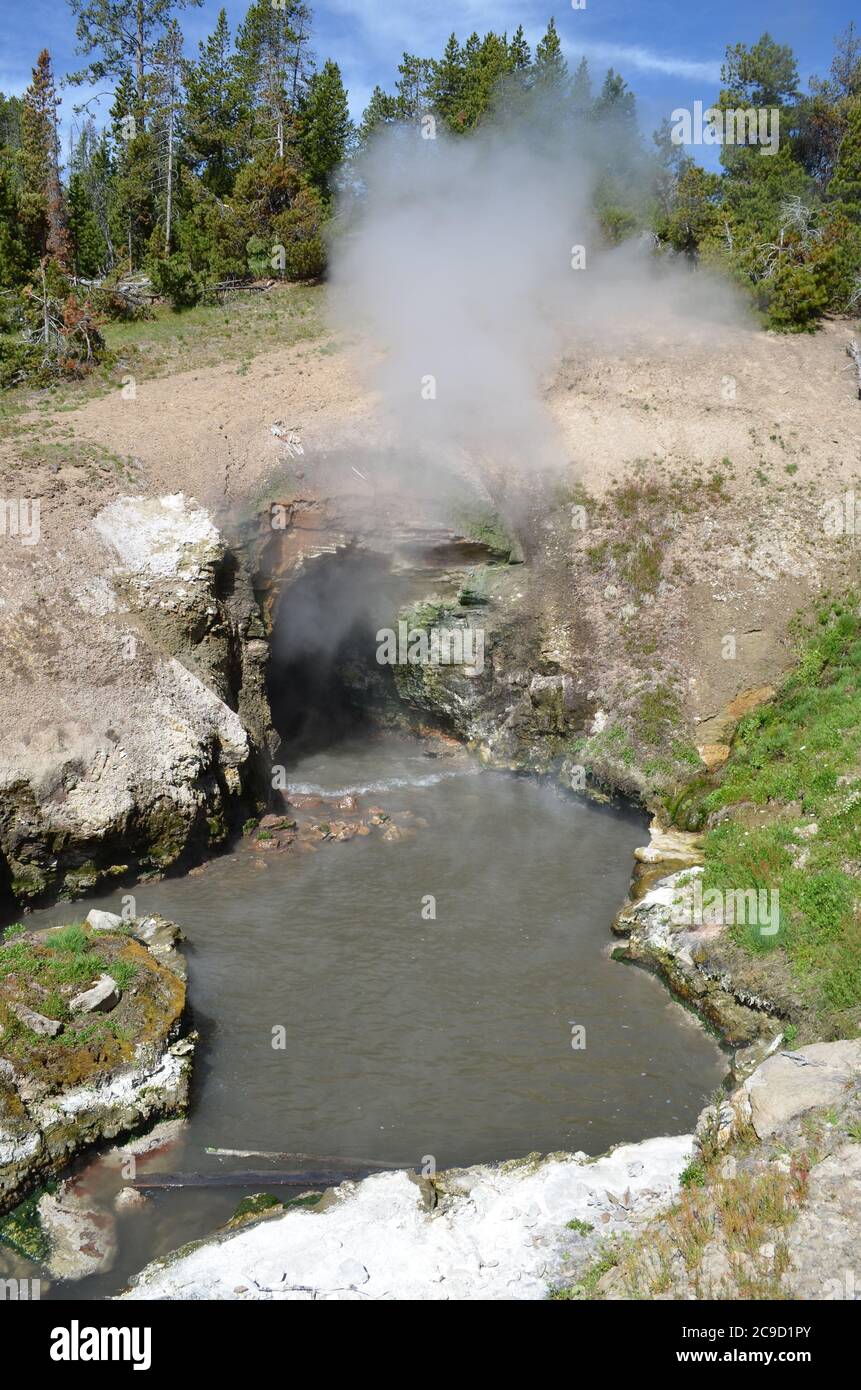Late Spring in Yellowstone National Park: Steam Plume From Dragon's ...