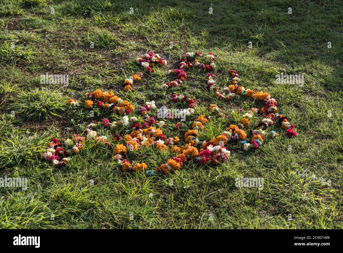 Flowers spread on ther ground over Tombs 103, 110, 112 and another ...
