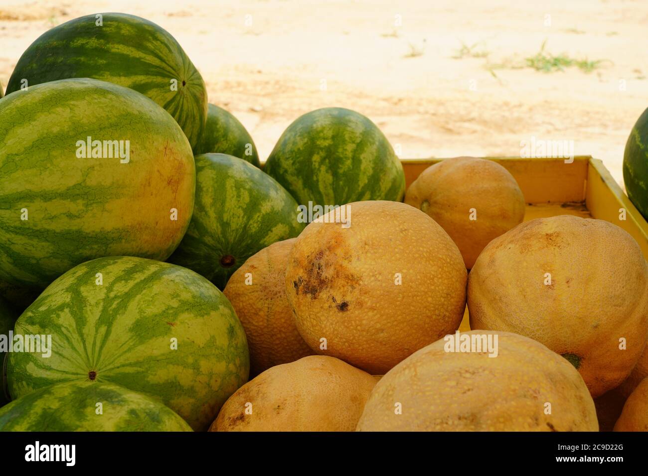 Melon bulk hi-res stock photography and images - Alamy